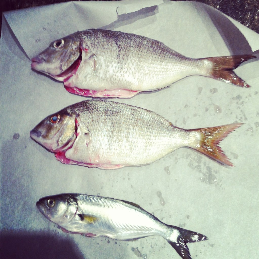 Scoring A Fish | goodwilltasting