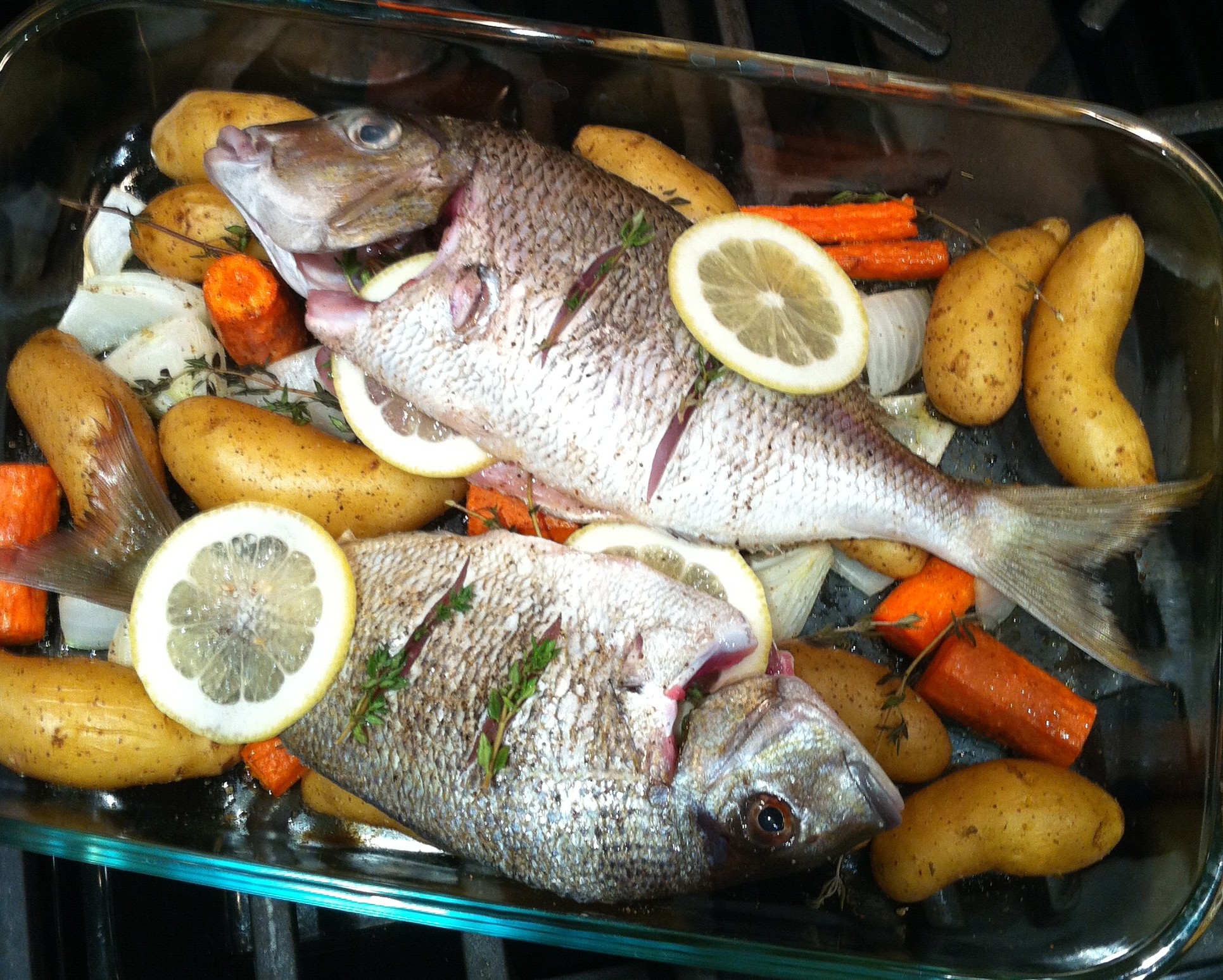 Scoring A Fish | goodwilltasting